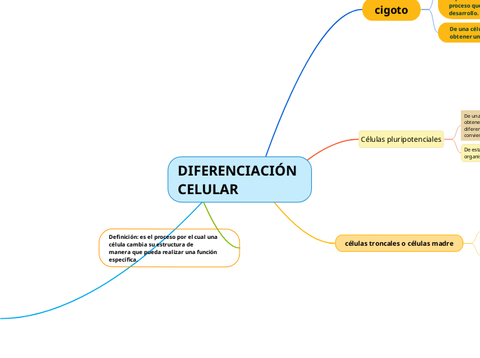 DIFERENCIACIÓN CELULAR - Mind Map